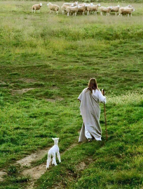 “O SENHOR É O MEU PASTOR” – rnavesamorim.com