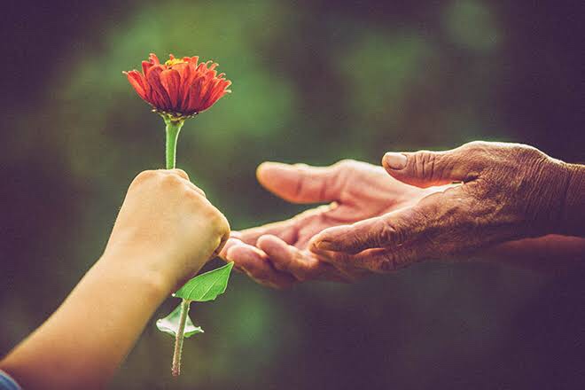 SENDO GENTIL – rnavesamorim.com